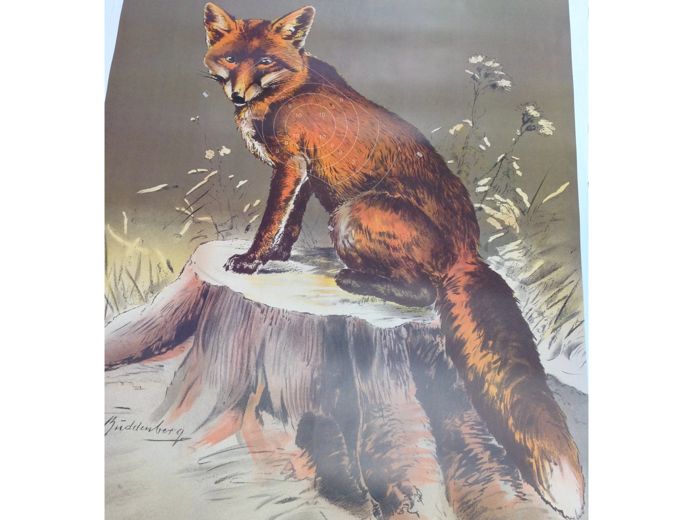 Large Paper Fox Target